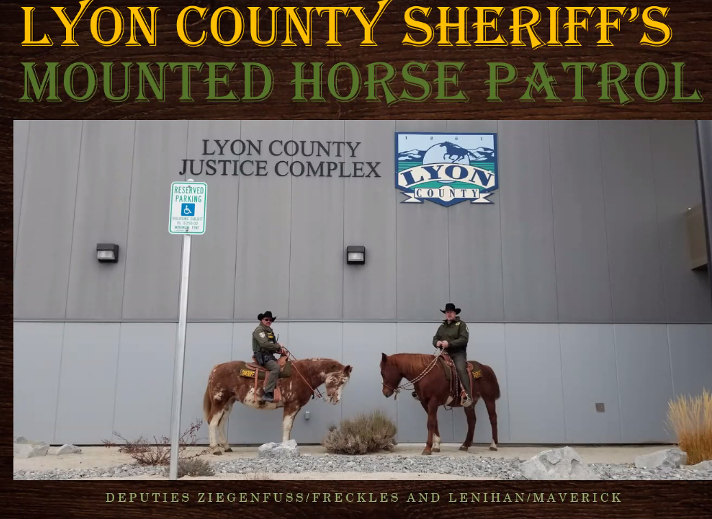 Deputy Lenihan Presents Proposal for Self-Funded Mounted Horse Patrol ...