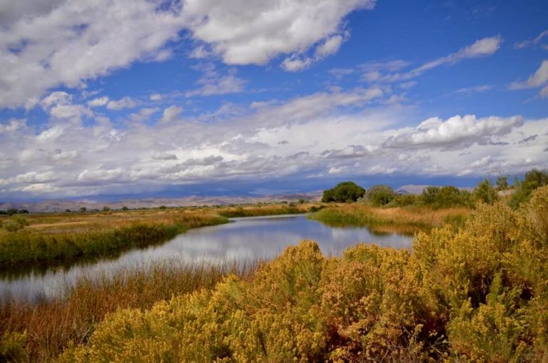 Mason Valley Wildlife Management Area 2022 Sep 19 Roberta Bryant 4 ...