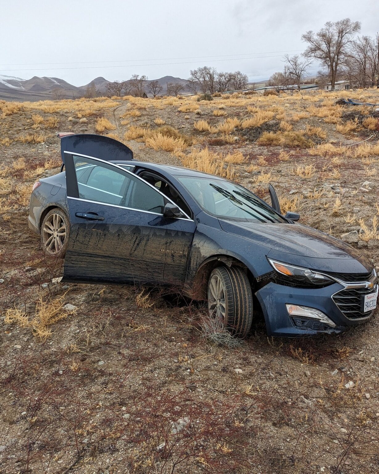 The Pizen Switch Times – Established 2021