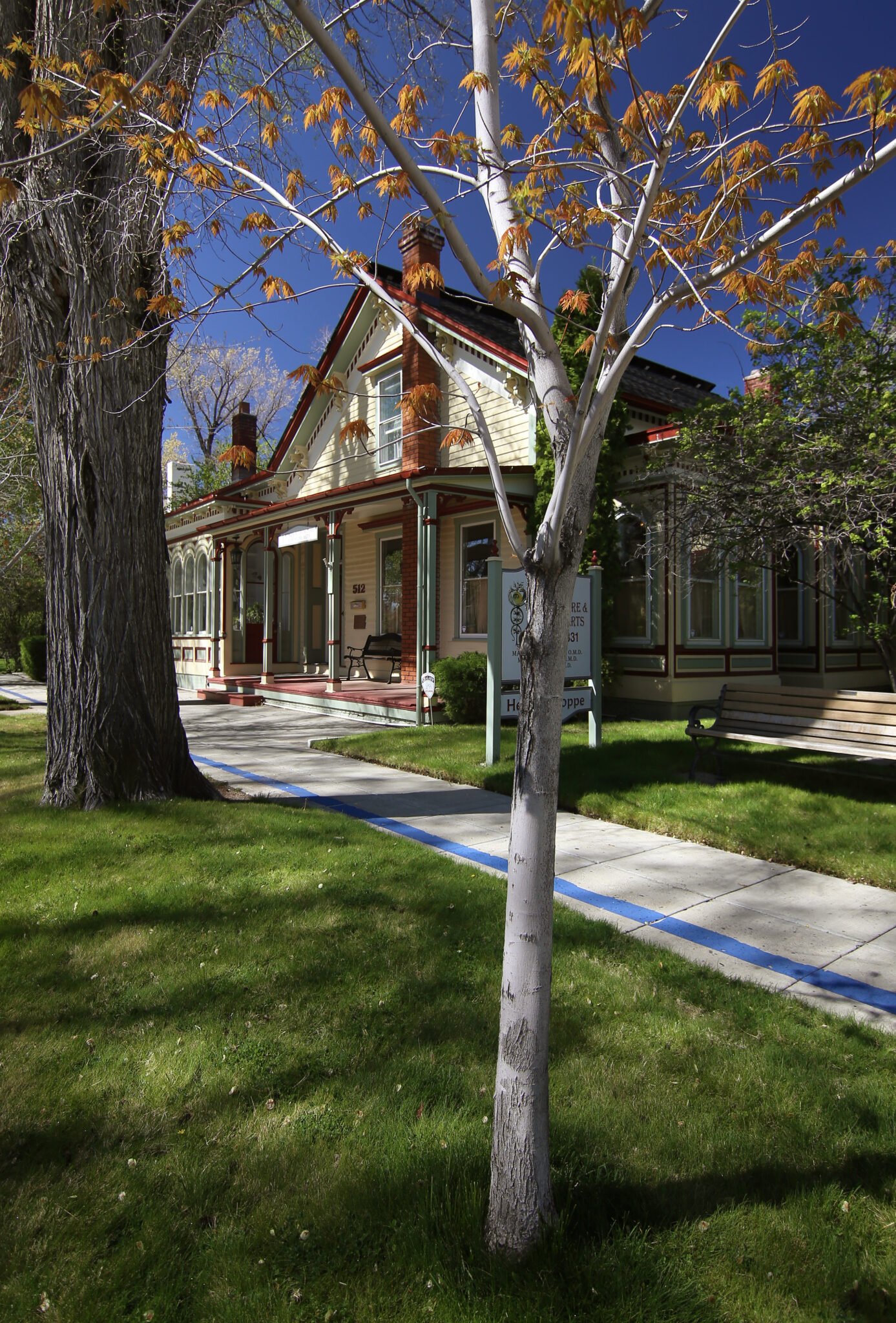 The Pizen Switch Times – Established 2021