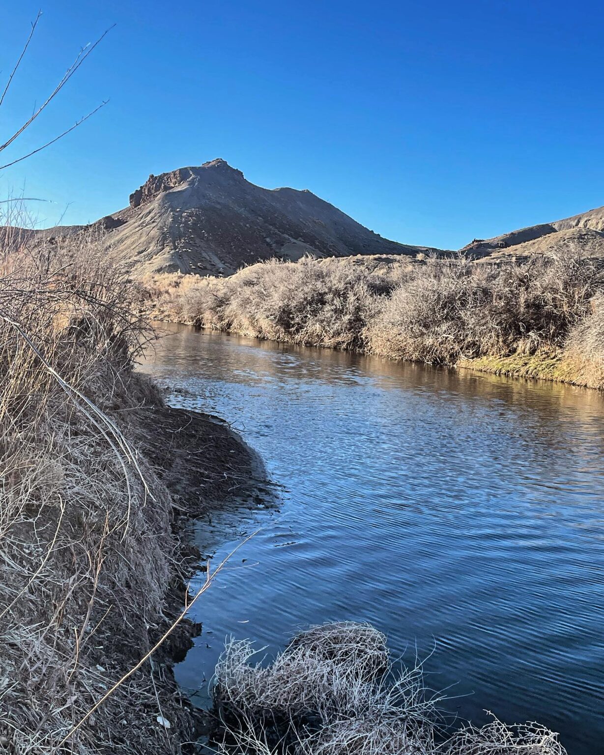 Walker Basin Conservancy Announces Successful Water Rights Acquisition ...