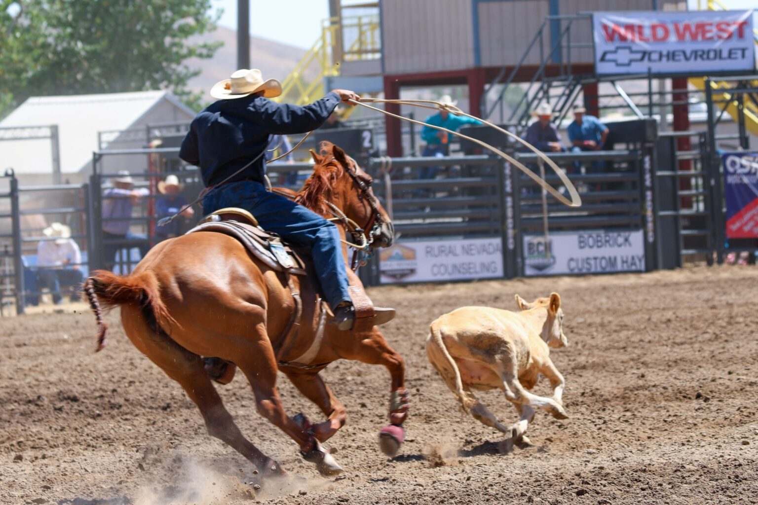 EVERYTHING You Need to Know About the Lyon Co. Fair, Rodeo & Livestock ...