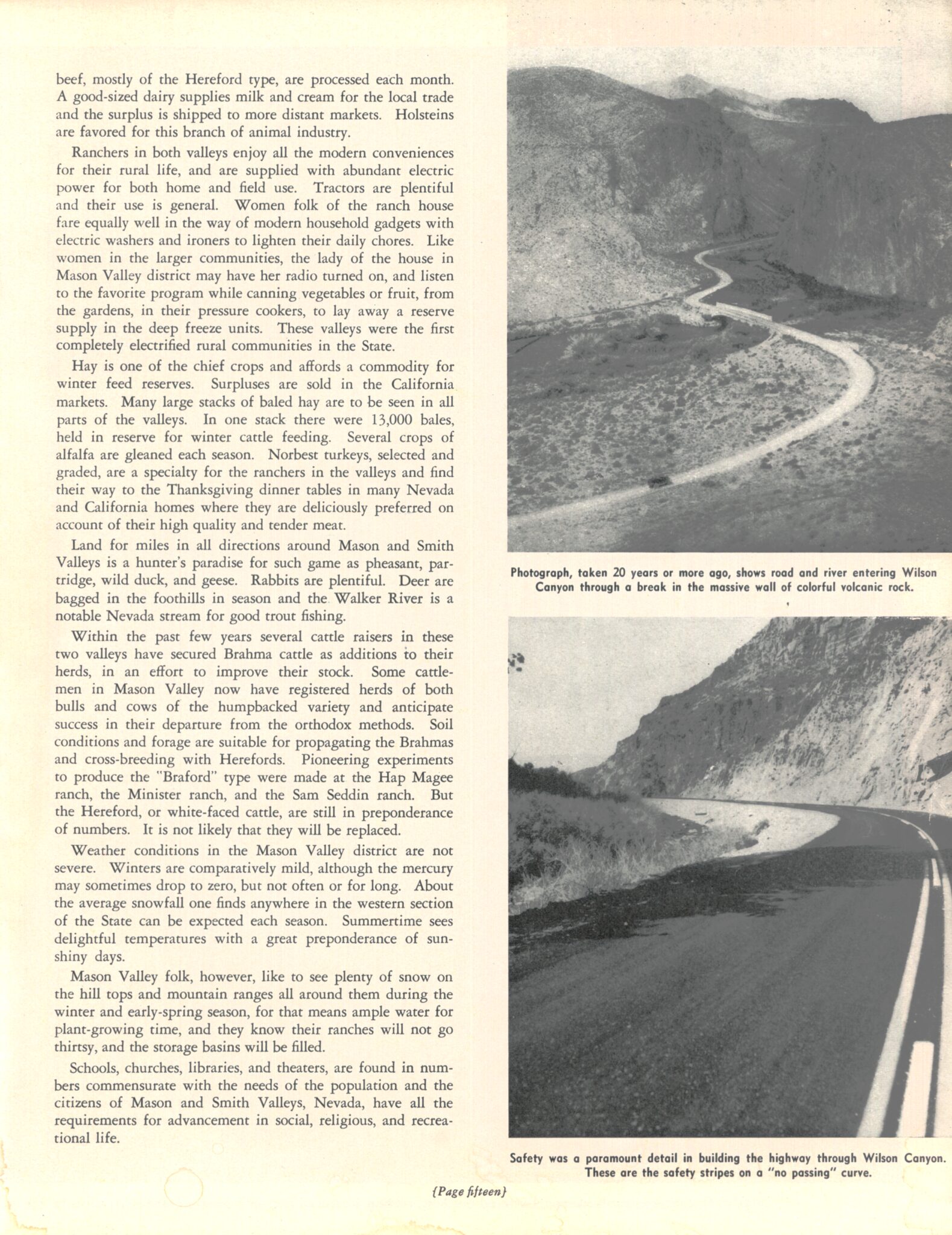 Highways to History: 1949 Life in Mason & Smith Valleys NV – Pizen ...